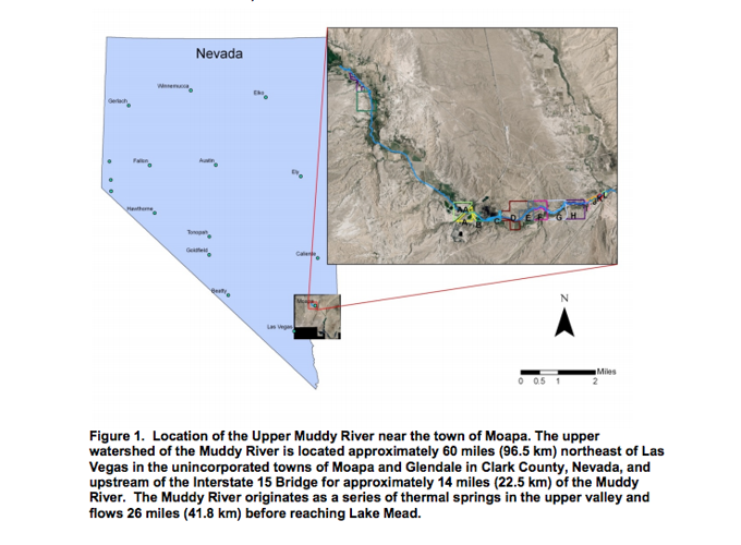 BLM plans tamarisk pile burns along Muddy River, public meeting | Local ...