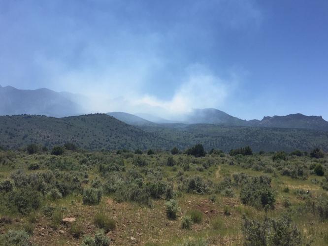 Wildfire on west side of Pine Valley Mountains grows to over 100 acres ...