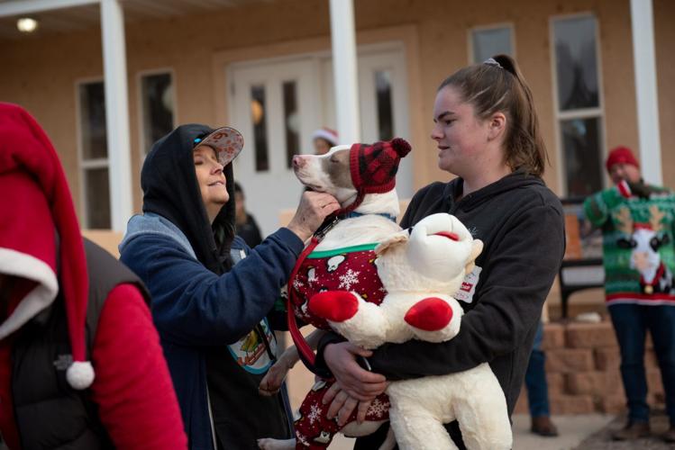 Happy howlidays! Kanab animal sanctuary dogs celebrate Christmas with ...