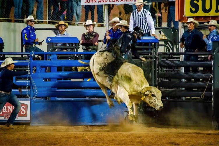 Photo Gallery: Dixie Round-Up Rodeo fans see arena record broken ...
