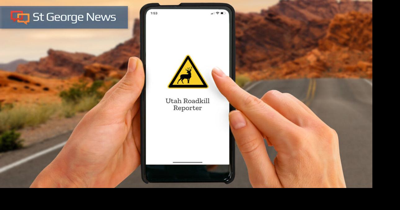 DWR, UDOT release new app to allow public to report roadkill | Life ...