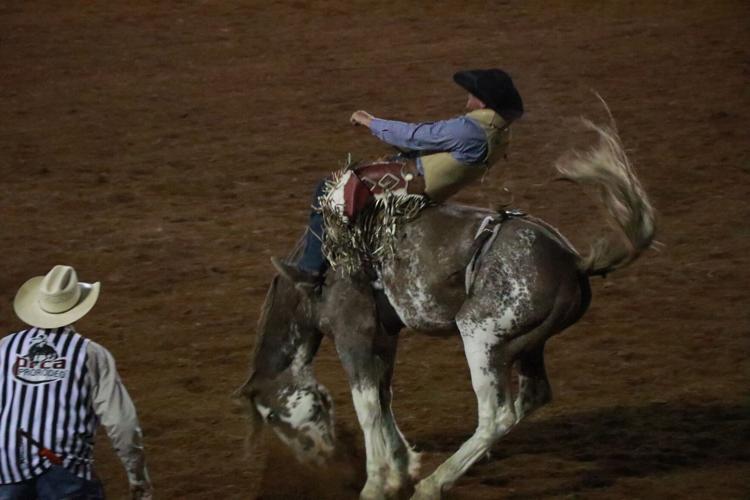 Photo gallery: 84th annual Dixie Roundup Rodeo Parade | Events ...