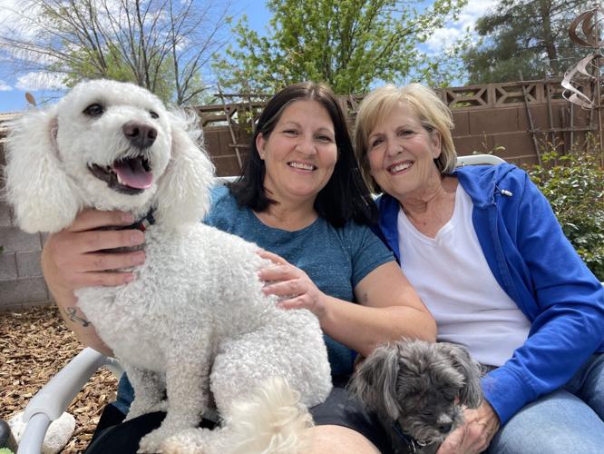 Paws up for Southern Utah’s fur moms | Life | stgeorgeutah.com