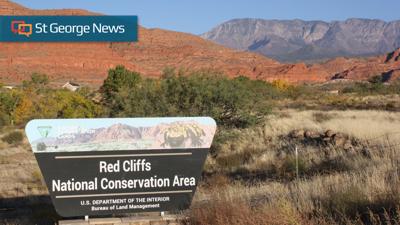 Bureau of Land Management continues conservation efforts at Red Cliffs ...