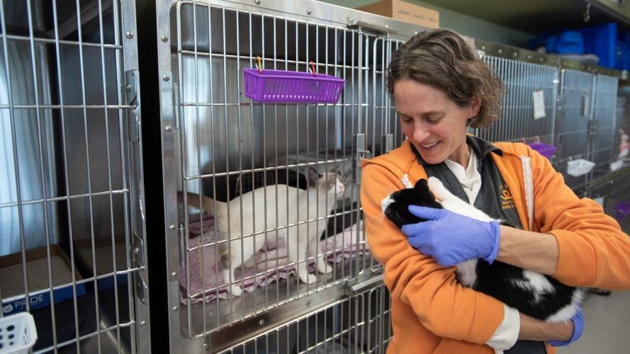 Best Friends Animal Society talks spay and neuter awareness; what do ...