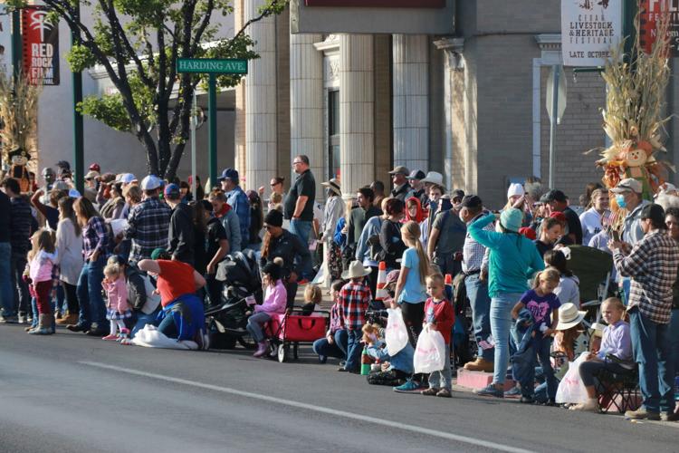 Photo gallery, video: Cedar City’s sheep parade delights crowds | Local ...