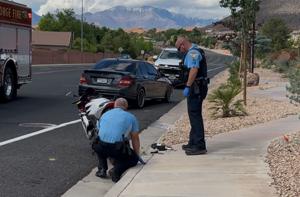 Top 5 weekend stories on St. George News | News | stgeorgeutah.com