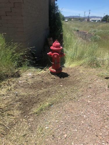Cedar fire officials working to keep hydrants clear of weeds ...