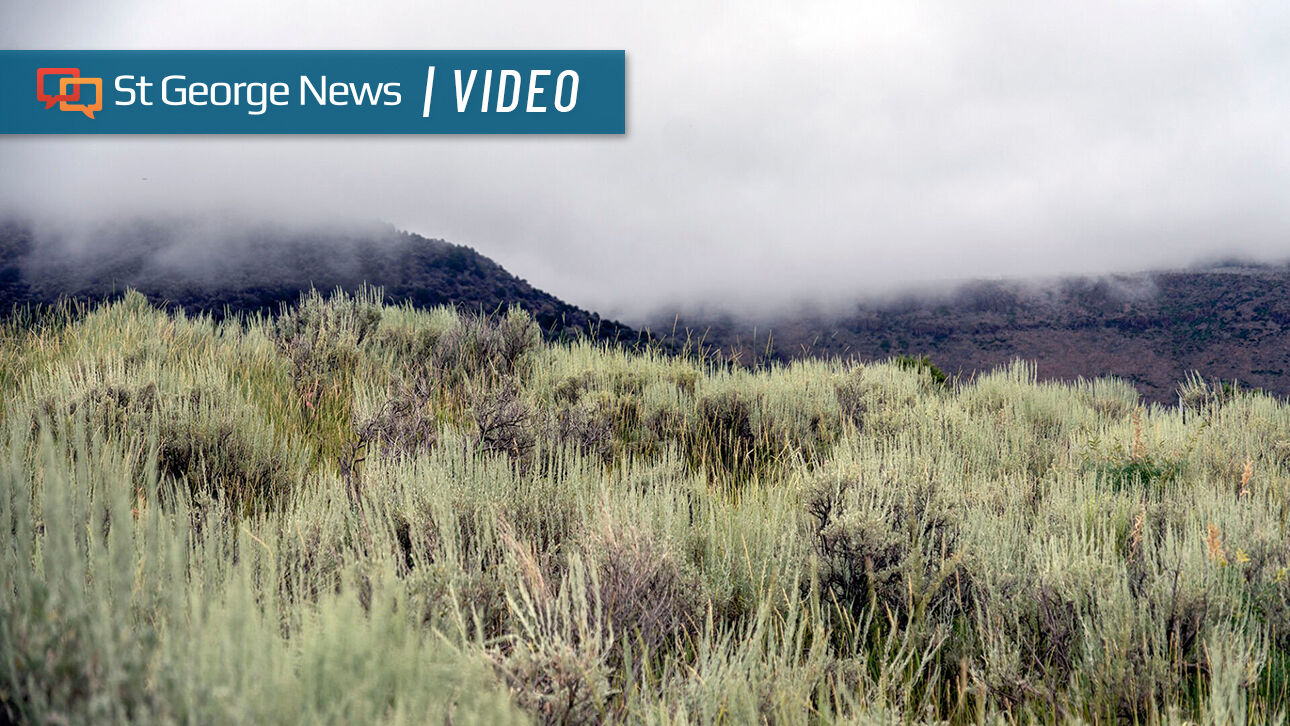 Corporate control or economic value? The push against Utah's natural ...