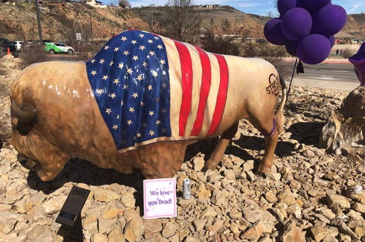 ‘The bison has come home,’ Brad Stapley remembered year after his ...