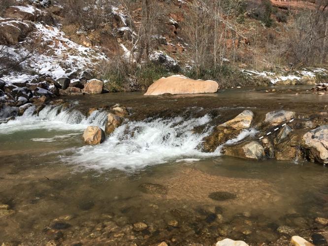 A Zion National Park fish story; project to assess fish passage in ...