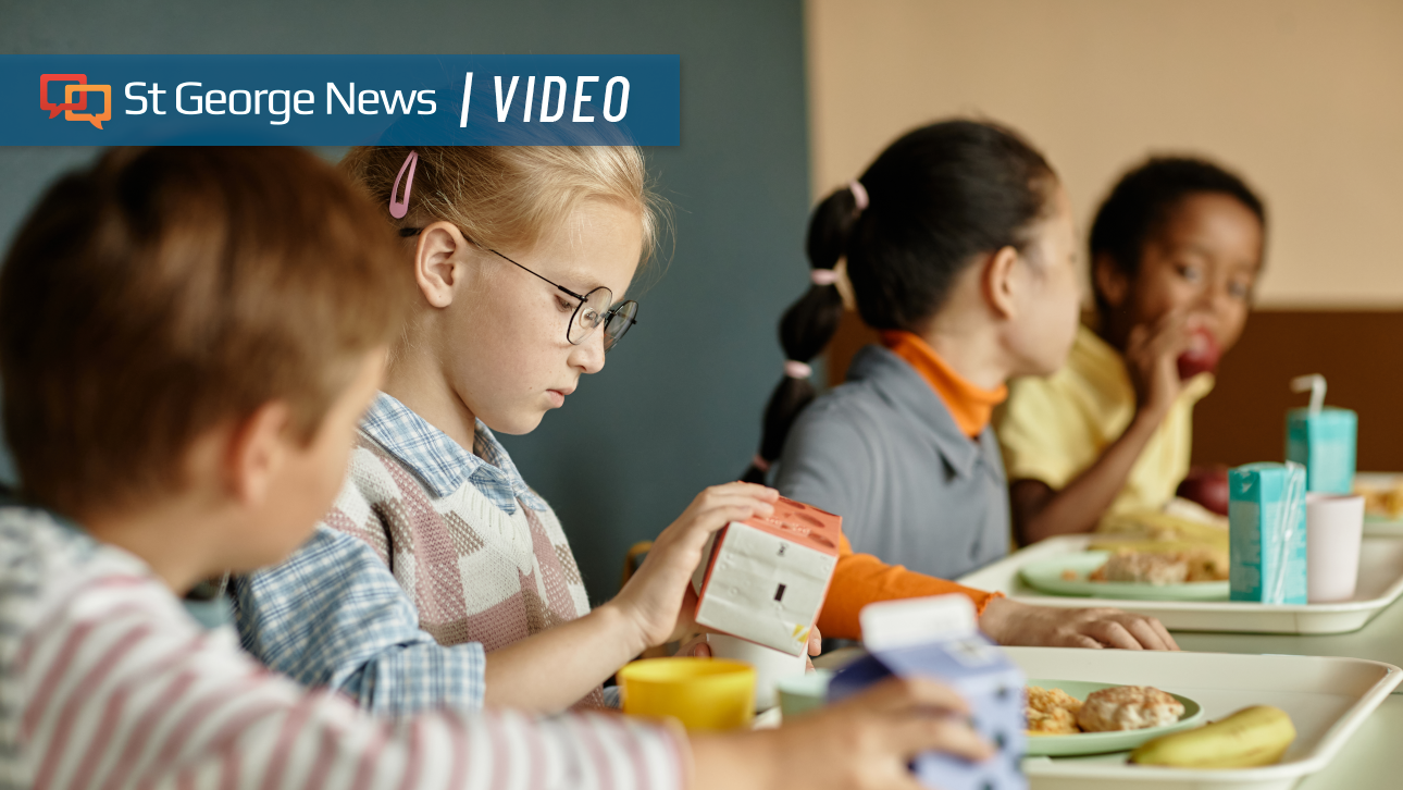 Doctor with St. George ties helps rep pass bill restricting harmful ...