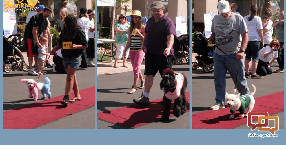 SunRiver Pet Festival aims to support new county animal shelter | Life ...