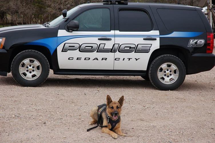 Police K-9 VooDoo dies | News | stgeorgeutah.com