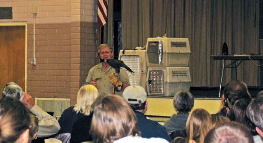 Predatory bird expert engages audience with falcons, eagles, vulture ...