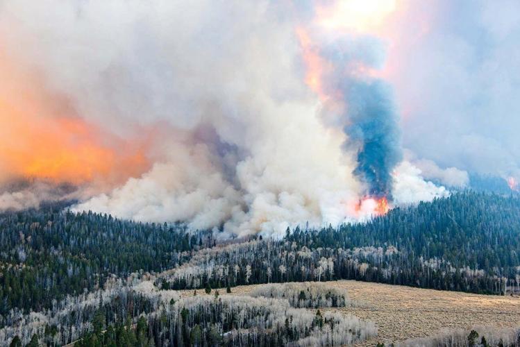 Fires burning in central Utah used to clear out fuels, promote forests ...