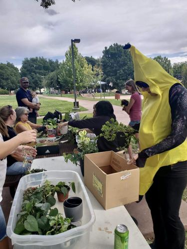 Hurricane woman shares love of rare, exotic plants with growing ...
