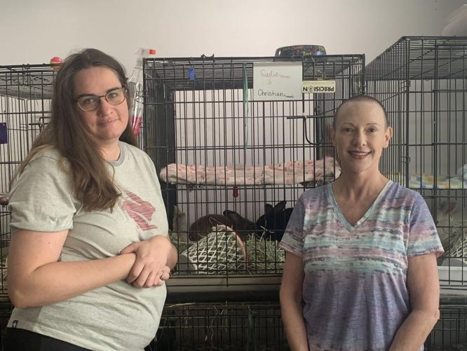 As a St. George rabbit rescue heads toward closure, dozens of rabbits ...
