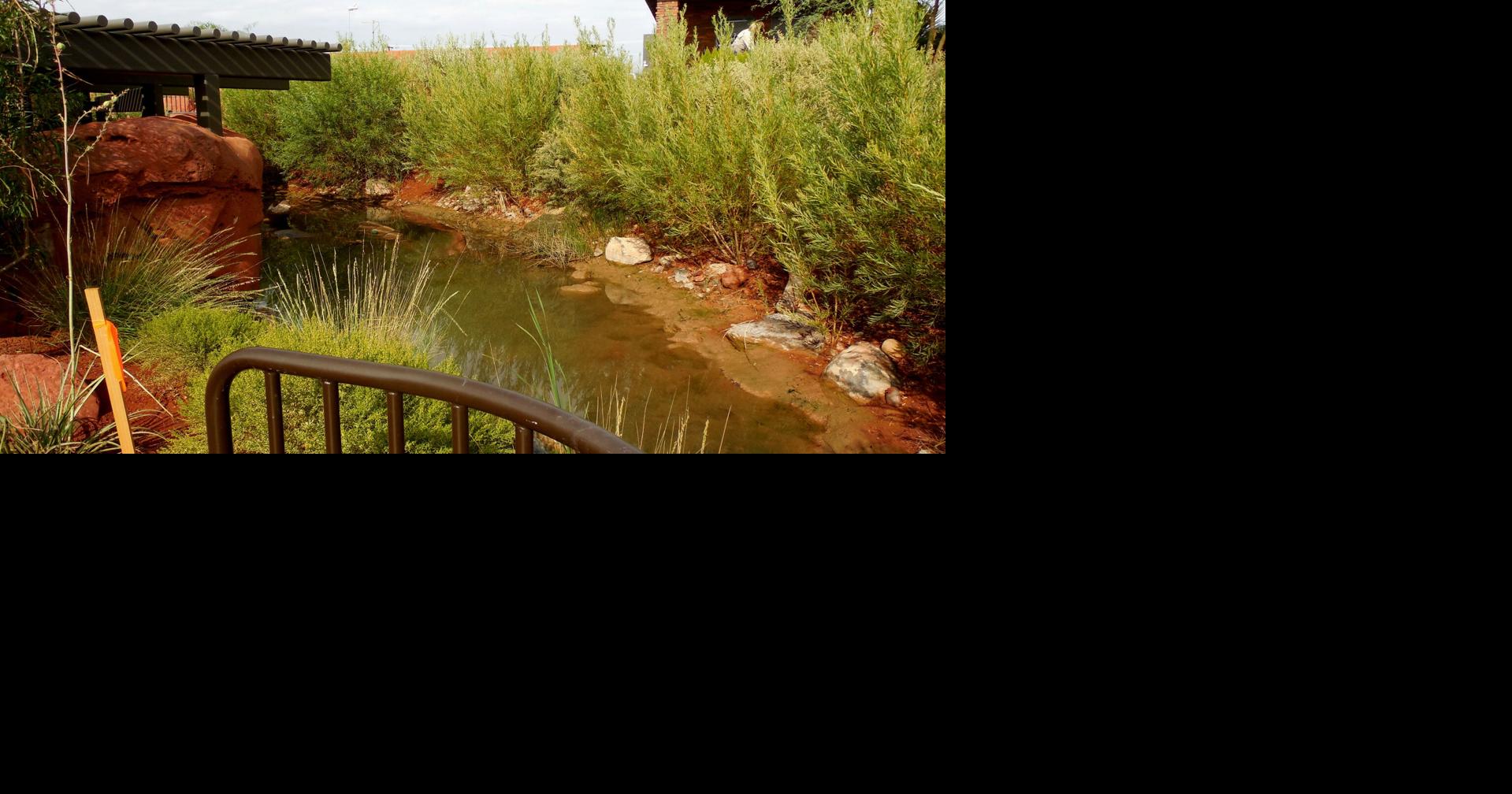 No dumping; fish removal begins at Desert Garden | Government ...