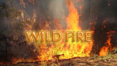 lightning caused wildfires