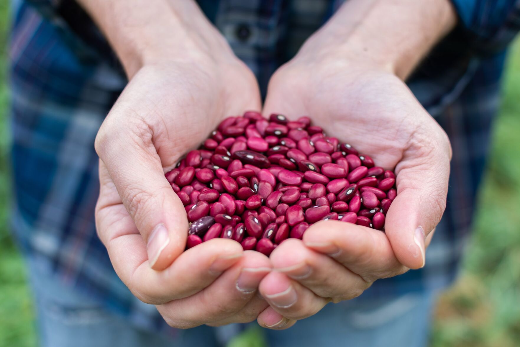 Winter wellness begins with a pantry makeover | Health and Wellness ...