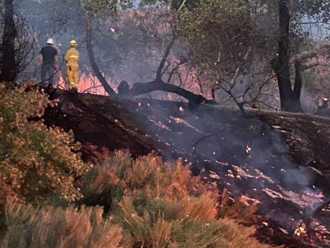 ‘Definitely human caused’: Brush fire flares up at Brooks Nature Park ...