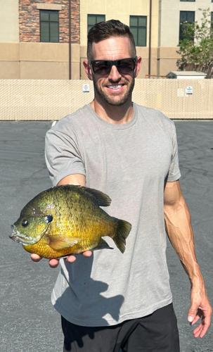 record bluegill
