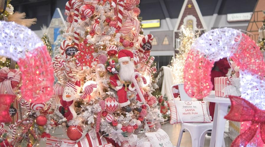 Jubilee of Trees celebrates 40 years of helping St. George residents ...