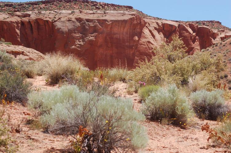 Explore: A secret slot canyon on sacred land | Explore | stgeorgeutah.com