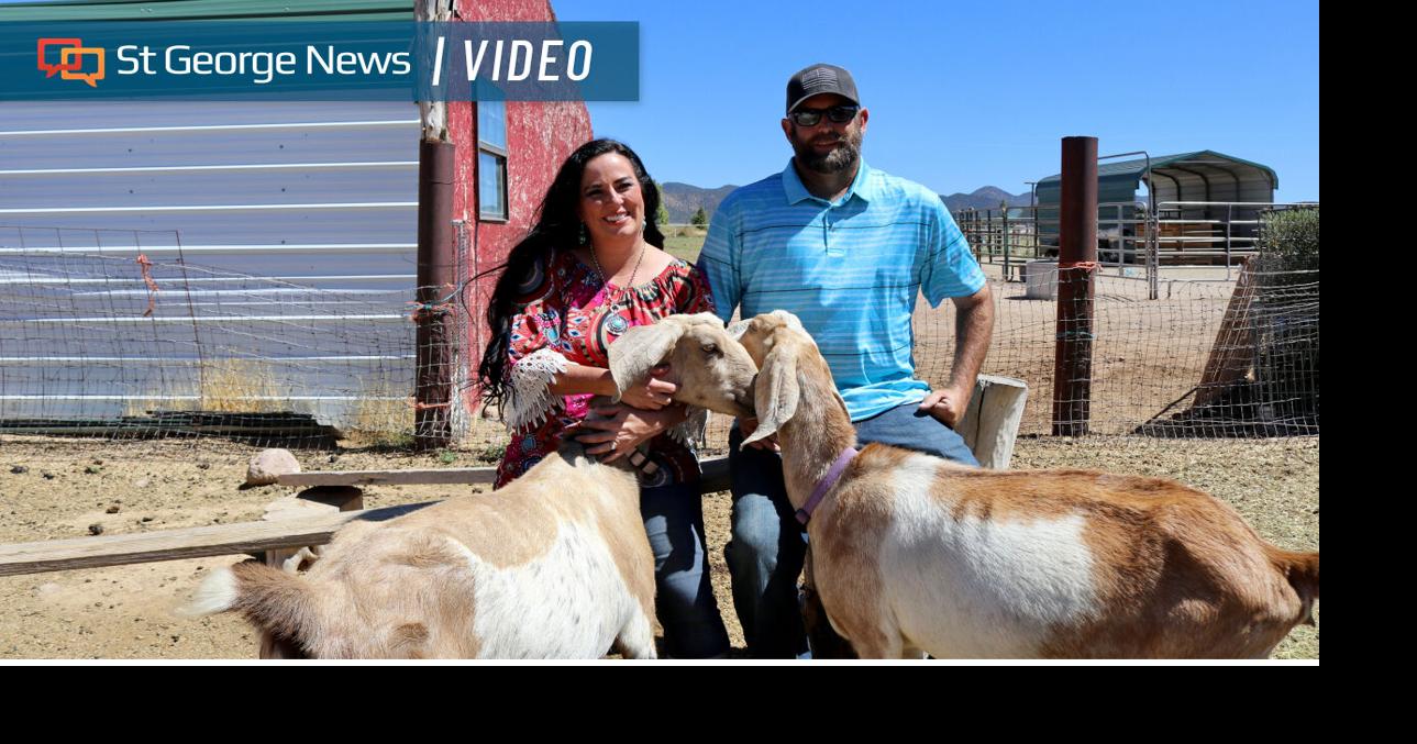 ‘So sweet’: Buy natural products from this legend-dairy farm in ...