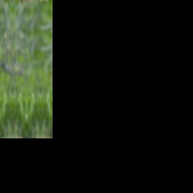 Nathan Caplin invites voters to discuss ideas; county attorney primary ...