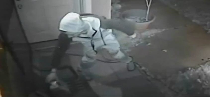 Caught on camera: St. George package thief steals box of poop | Local ...