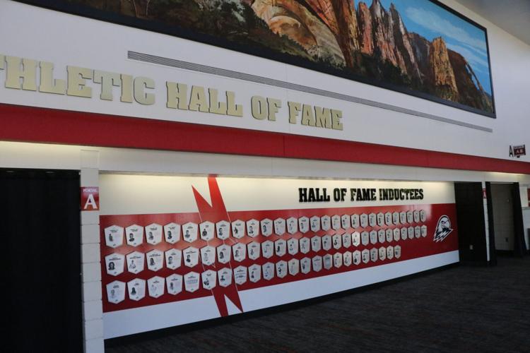 A 95-year-old giving tree comes down with a legacy | Education ...