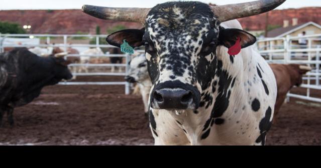 Last dance for Dixie’s Round-up Rodeo and Sunbowl? | Arts ...