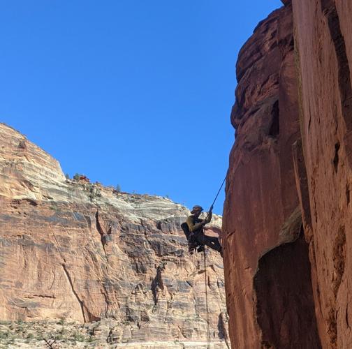 Not all bats are bloodthirsty. Zion’s bat program teams up with ...