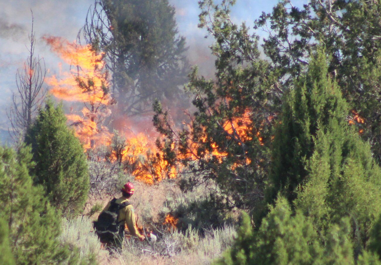 With wildfire risk rising in Southern Utah, experts share how to ...
