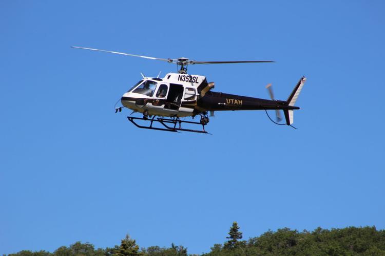 K-9 units a law enforcement tool, training and networking vital to ...