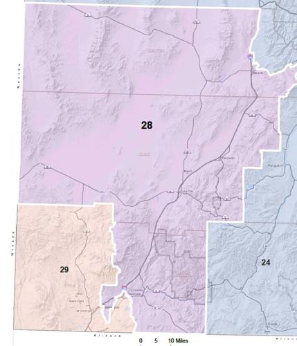 Politically experienced Vickers faces professionally experienced ...