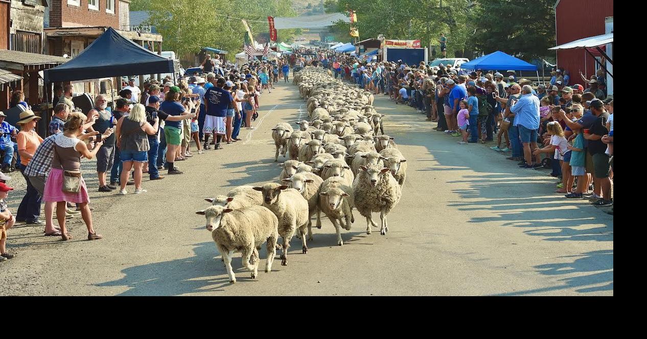 Much Ado about Mutton: Reed Point celebrates 36 years of the Sheep ...