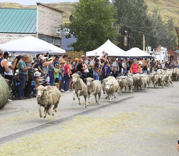 Thank Ewe Reed Point! | News | stillwatercountynews.com