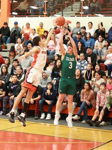 Boys basketball roundup: Cougars win, Panthers split, others struggle ...