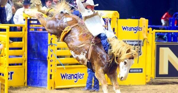 Timberman impresses at Wrangler National Finals Rodeo | Sports ...