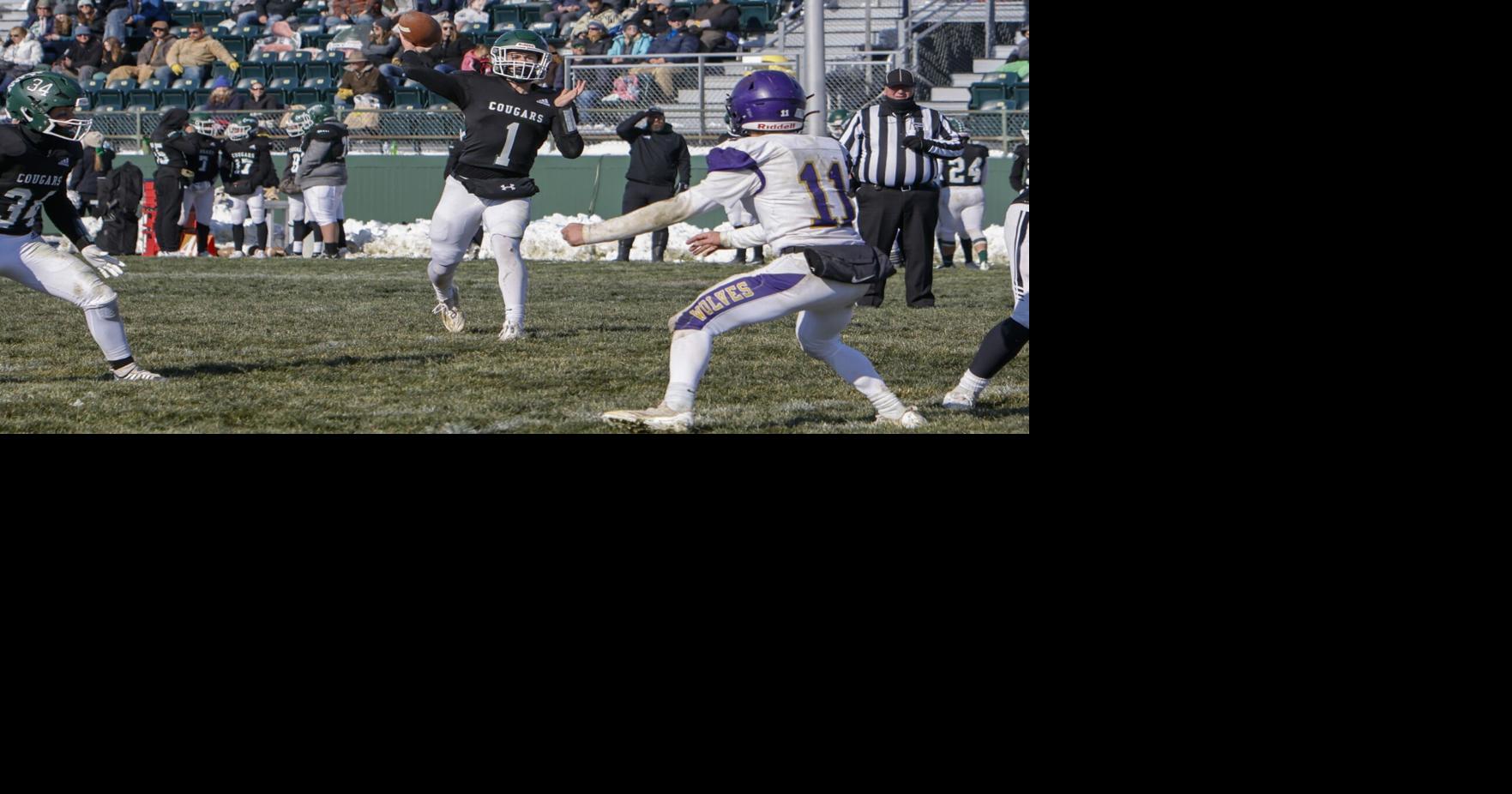 Football roundup: Cougars blast Wolves, Panthers lose in first round ...