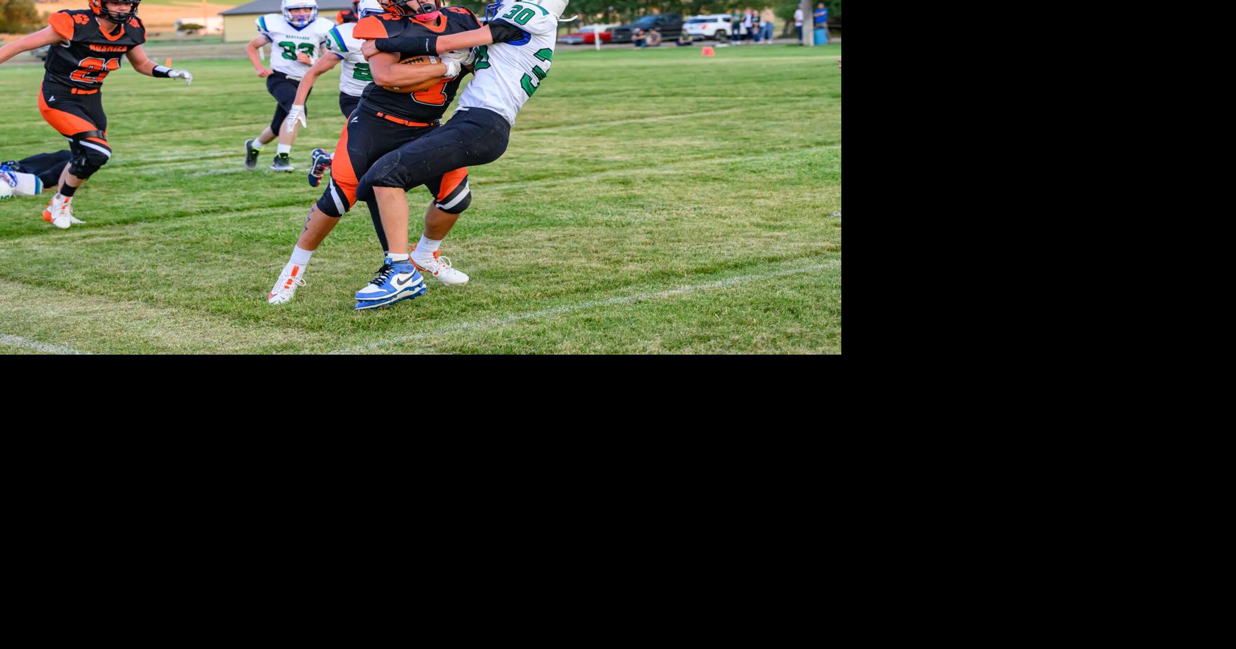 Football roundup: Cougars, Huskies, Panthers dominate | Sports ...