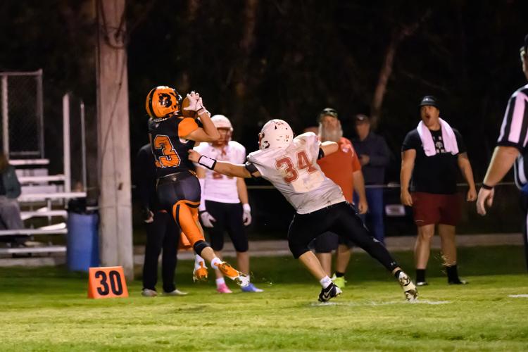 Football roundup: Panthers prevail, Huskies dominate, Renegades falter ...