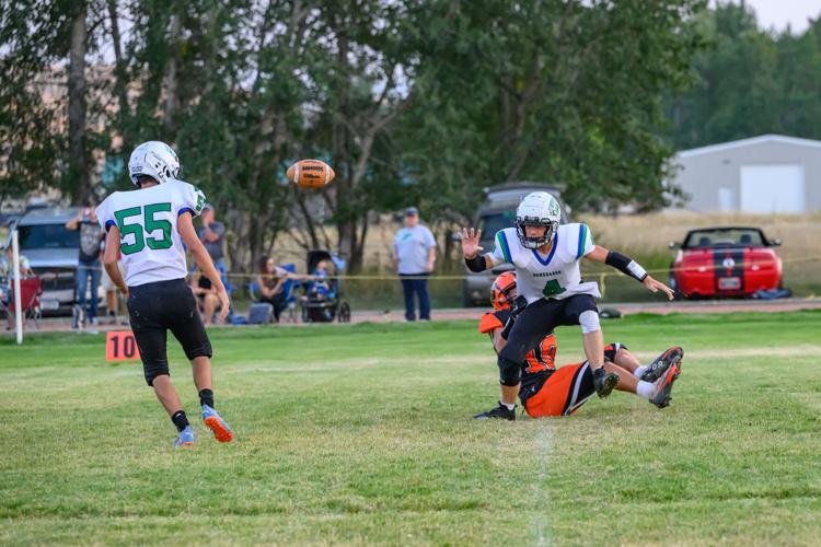 Football roundup: Cougars, Huskies, Panthers dominate | Sports ...