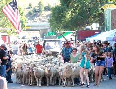 Volunteers gear up for 37th annual Reed Point Sheep Drive | News ...