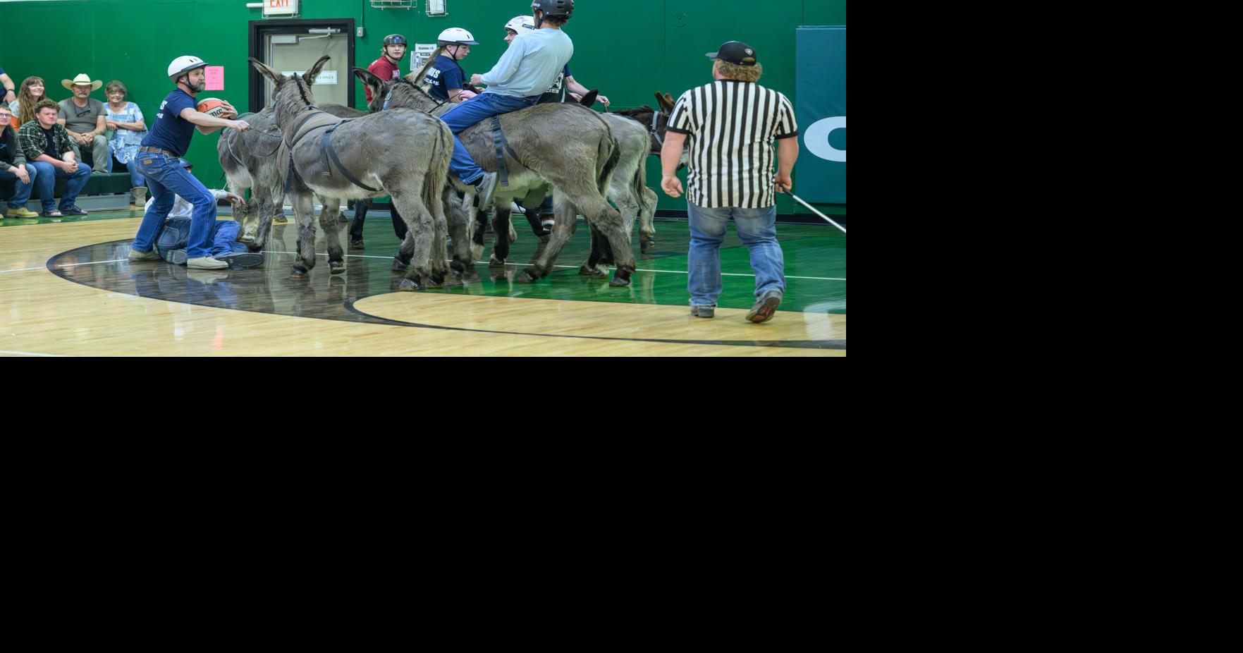 Donkey Basketball returns, hilarity ensues | News ...
