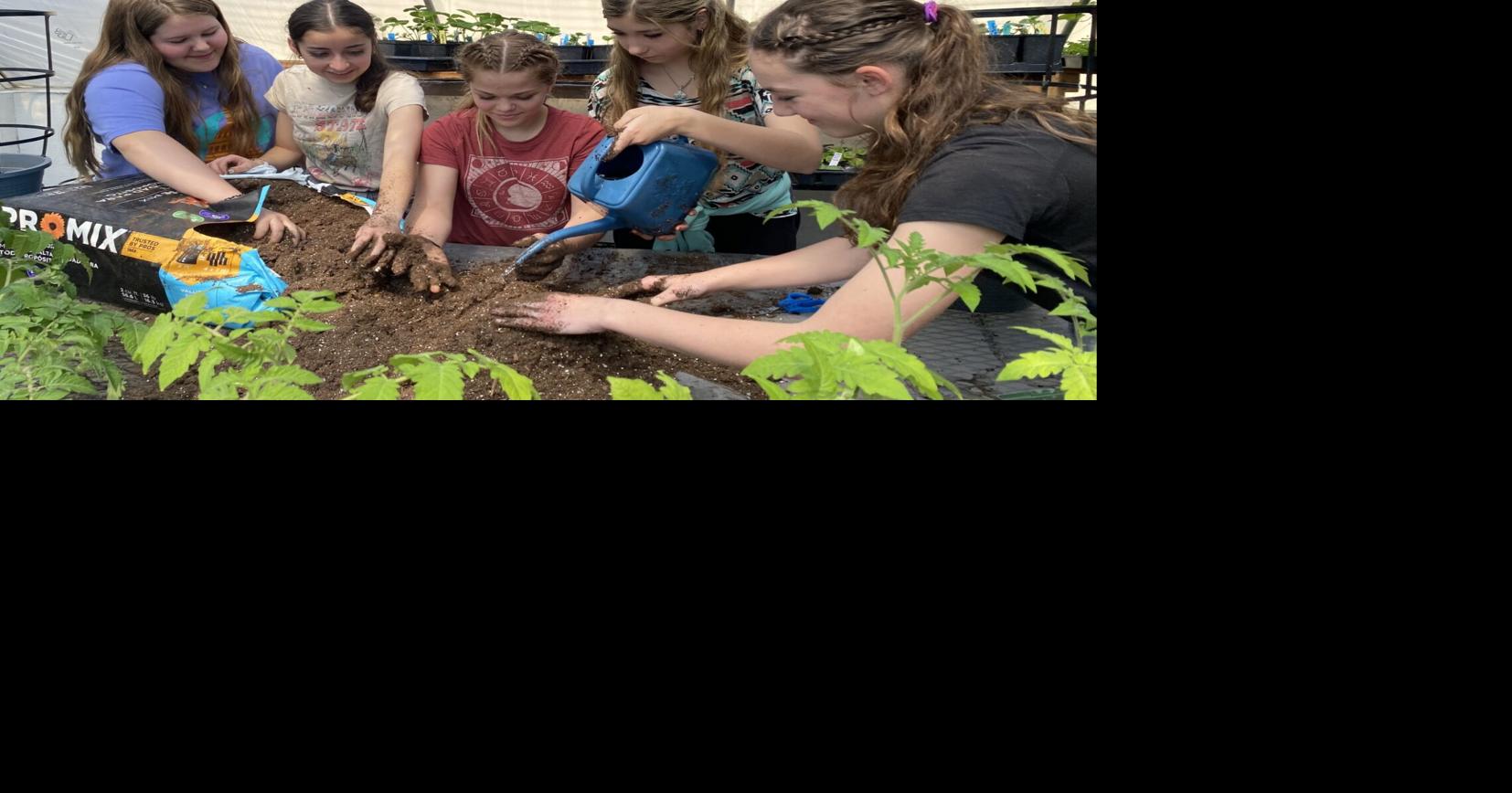 Absarokee School FFA greenhouse blooming | News | stillwatercountynews.com