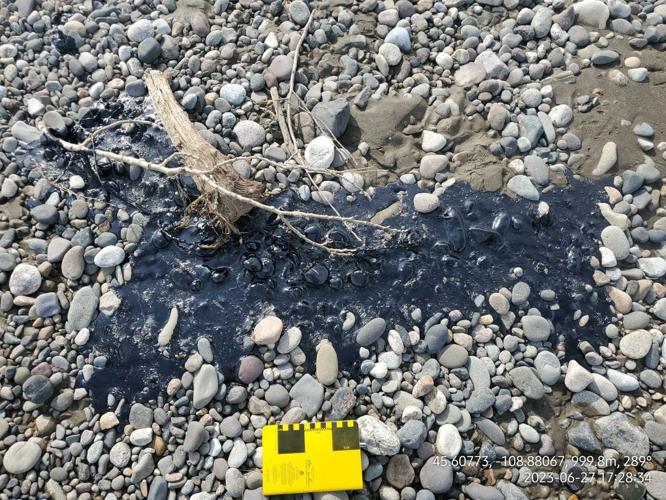 1 rail car remaining in the river, bird found dead stuck in asphalt ...